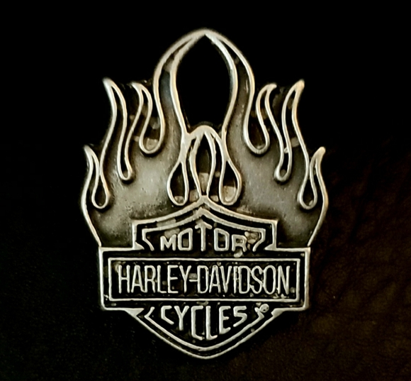 Harley-Davidson | Accessories | Vintage Harley Bar Shield In Flames Pin ...